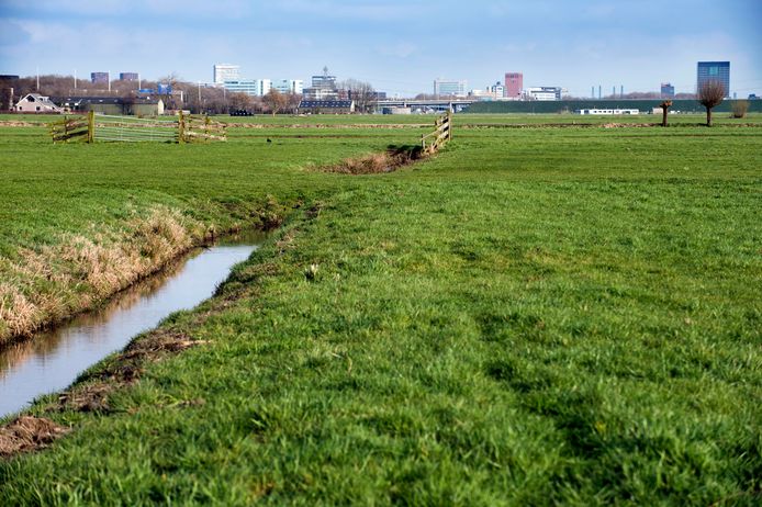 Met dit plan willen ontwikkelaars snel 25.000 woningen bouwen in polder ...