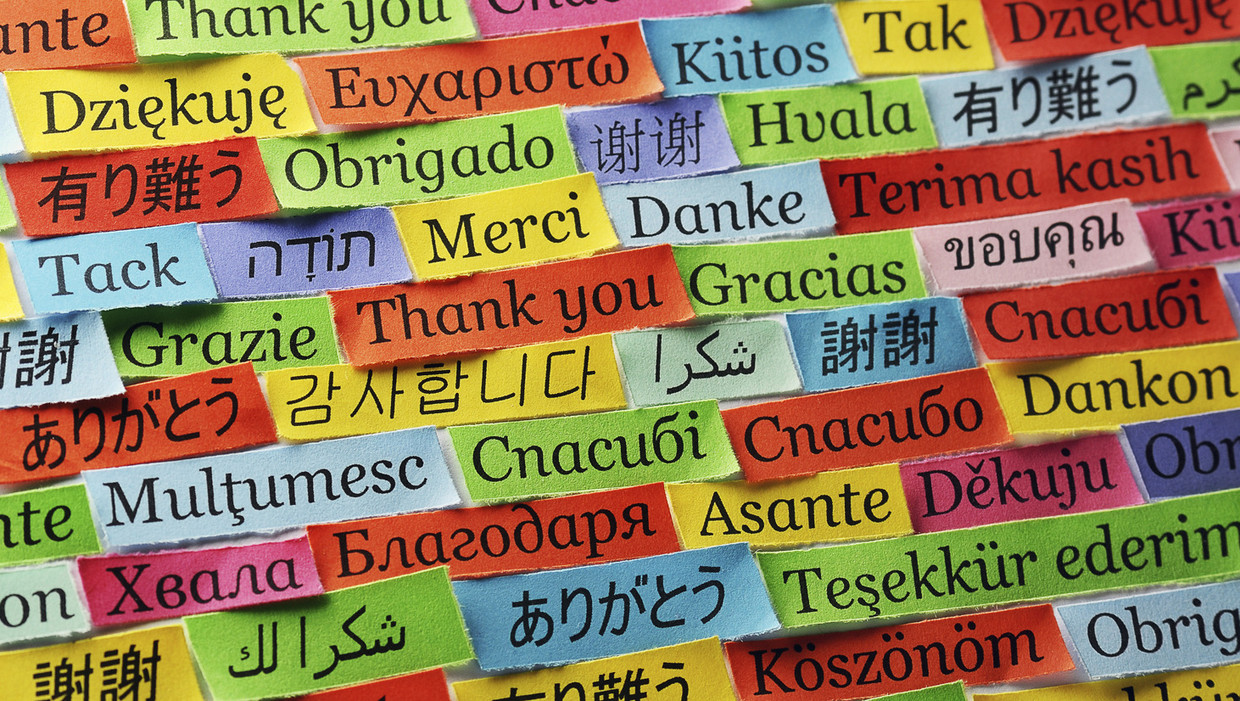 Eén op de vier talen dreigt te verdwijnen | De Morgen