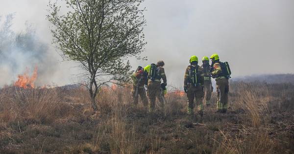 Zeer grote bosbrand in Deurnese Peel breidt uit, rook in wijde omgeving ...