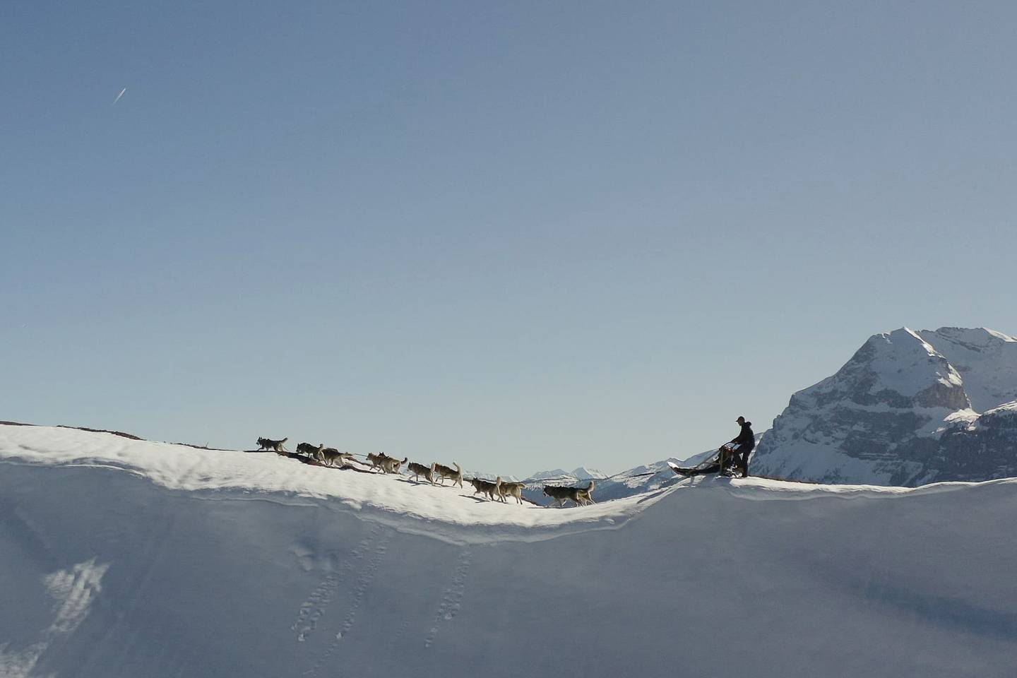 La grande odyssée - TF1 - zondag 11 januari 2026 - 10:55 - TV-Gids