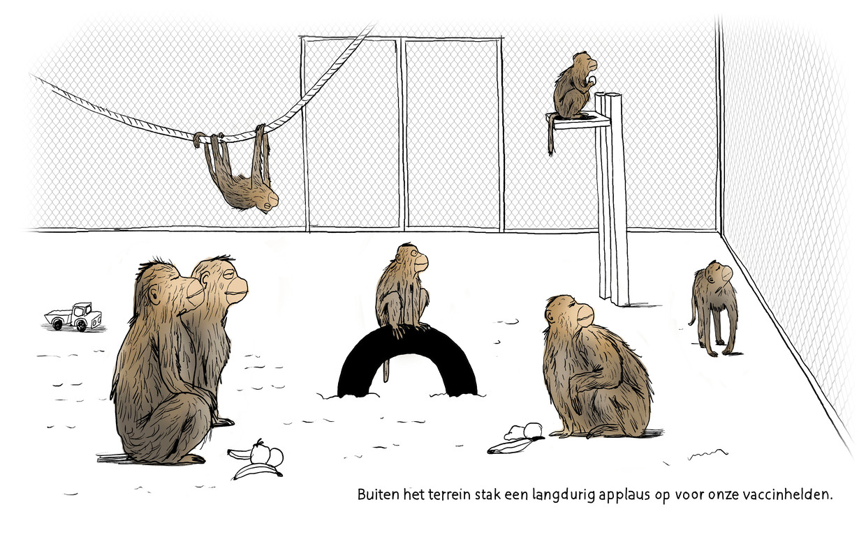 Weekdier van Paul Faassen | De Volkskrant