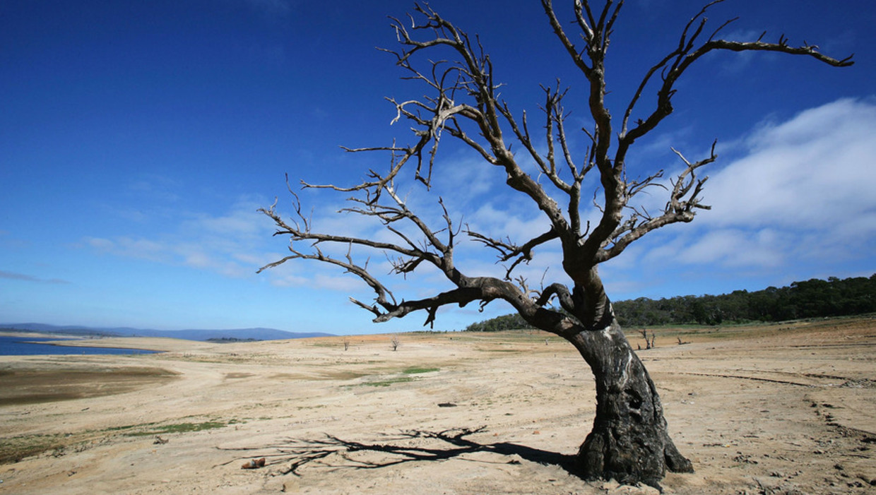 'Klimaatprobleem van droogte wordt erg overschat' | De Volkskrant