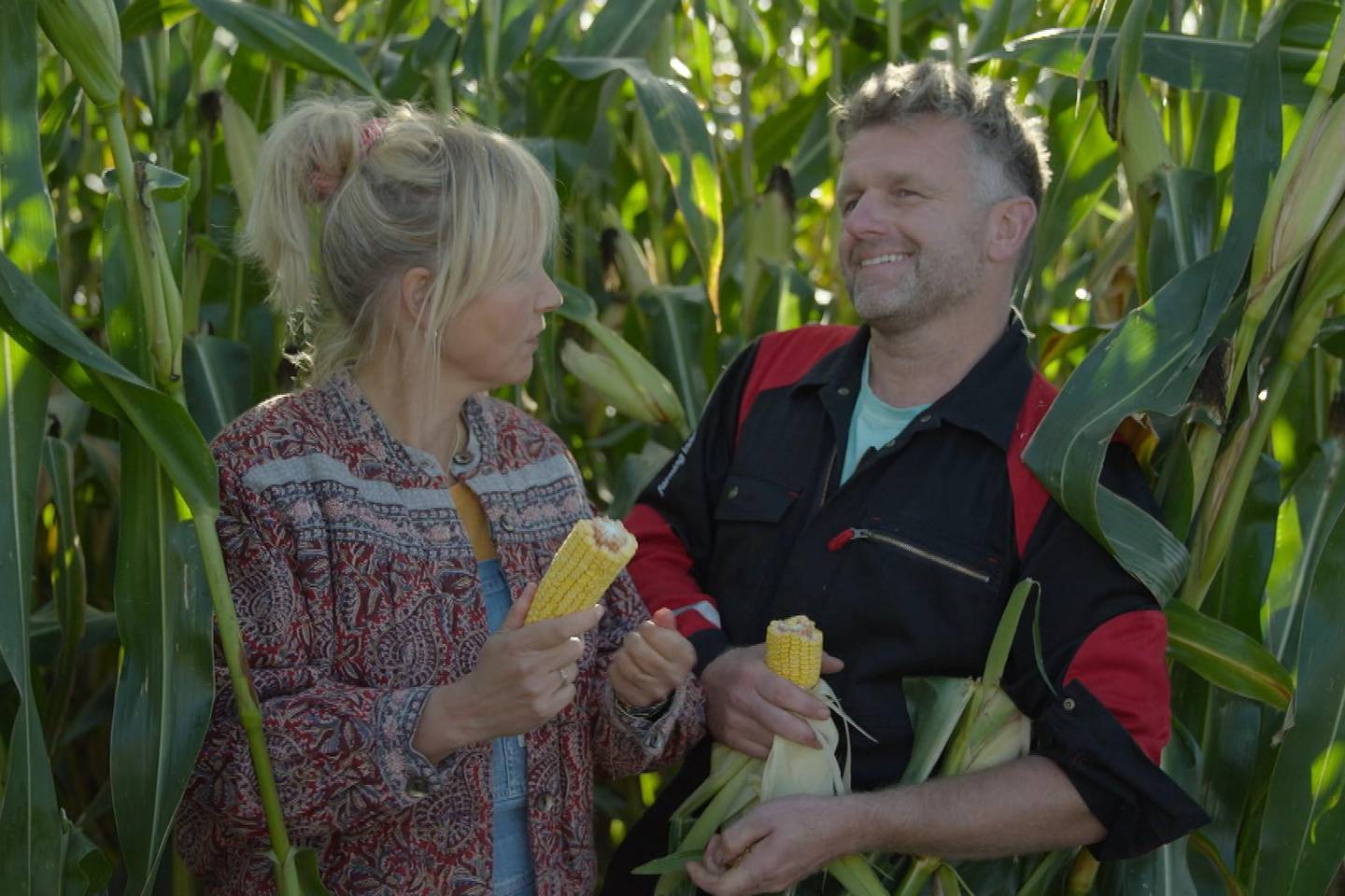 Onze boerderij - NPO 1 - zondag 31 mei 2026 - 18:00 - TV-Gids