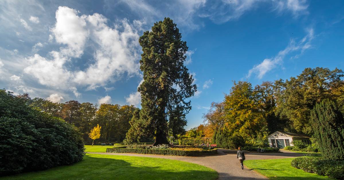Ledeboerpark in Enschede behoort tot de vijf mooiste parken ter wereld | Enschede | tubantia.nl