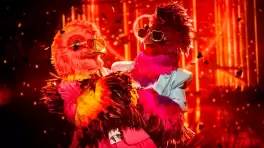 Speciaal voor jou: hippe kippen Tik & Tok! - The Masked Singer
