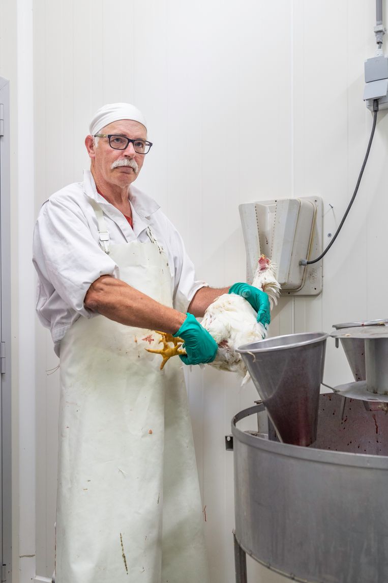 Zelf een kip grootbrengen en daarna slachten en opeten – de familie ...