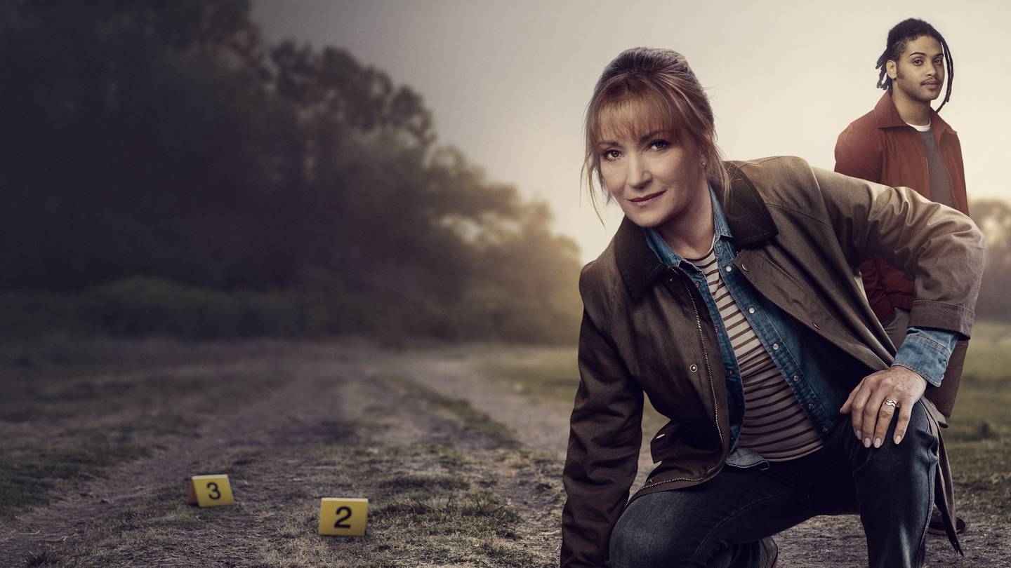 Harry Wild - ZDF - zondag 01 februari 2026 - 22:15 - TV-Gids