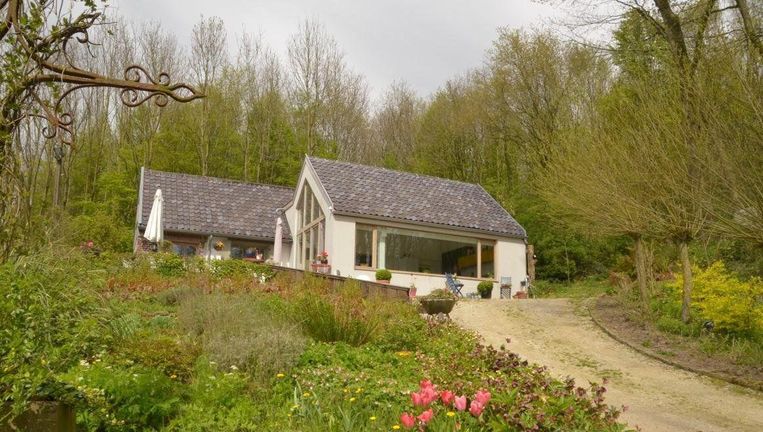 Huizen in beeld: wonen in het bos | Nieuws | HLN