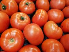 7sur7.be, l'actualité belge et internationale en temps réel | 7sur7.be