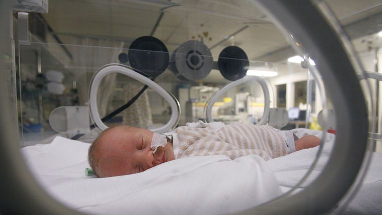 Open ruggetje blijft hardnekkig probleem | De Volkskrant