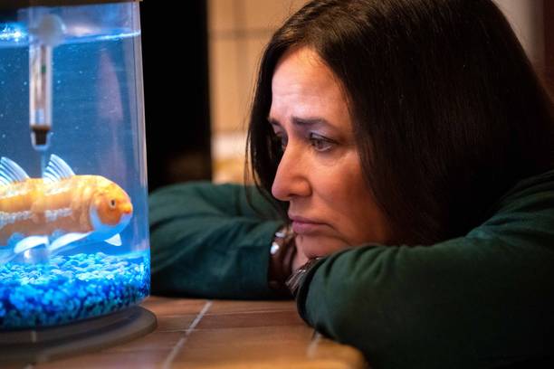 VTM 3 - Weekoverzicht - TV-Gids