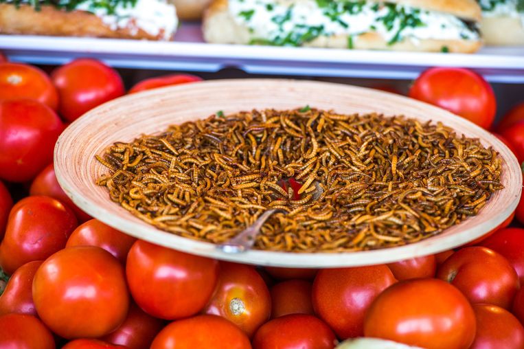 Jumbo legt eetbare insecten in schappen | De Volkskrant