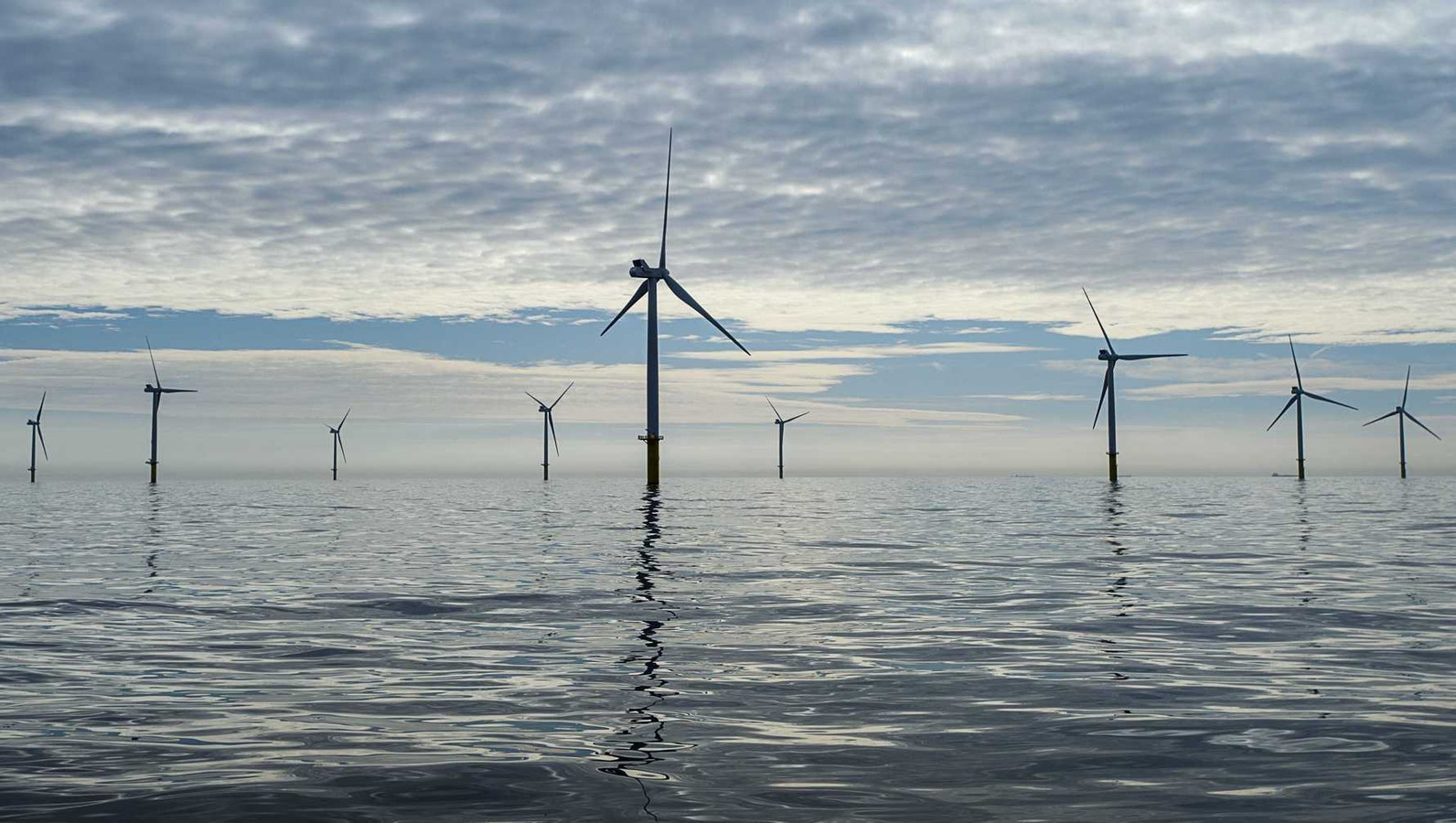 'Shell wil windpark bouwen met Eneco en Van Oord' | Foto | AD.nl