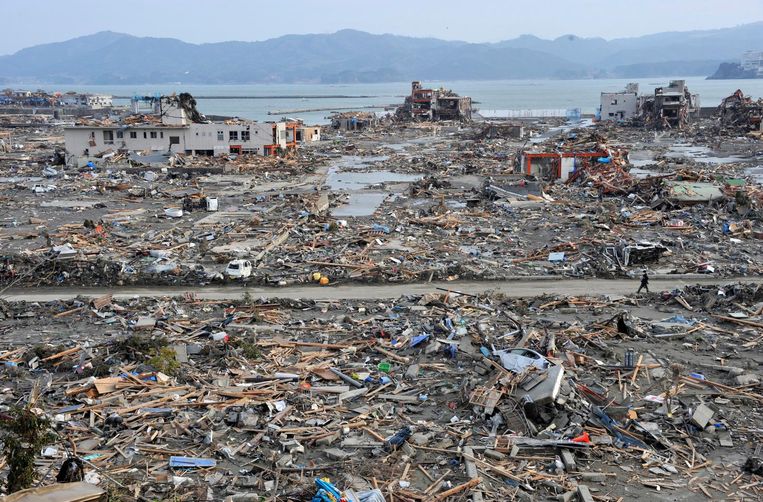 Tsunami in Japan veroorzaakte ongekende wereldreis van zeedieren en afval | De Volkskrant