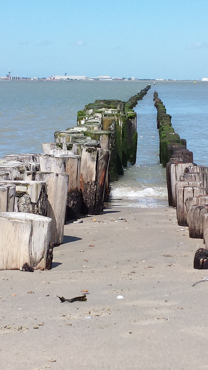 Vlonders op strand Breskens stap te ver | Zeeuws-Vlaanderen | pzc.nl