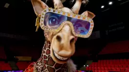 Giraf: “Als de match start, ben ik één en al focus” - The Masked Singer