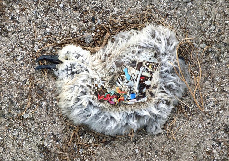 Brussel gaat 'plastic soep' in oceaan tegen en verbiedt wegwerpplastic ...