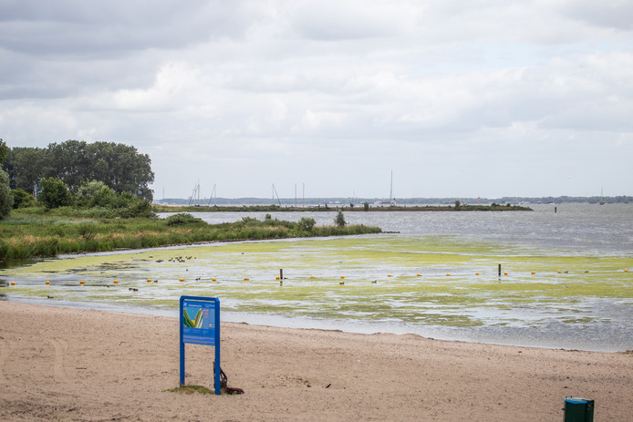 Zwemmen bij Hitsertse Kade kan weer | Hoeksche Waard | AD.nl