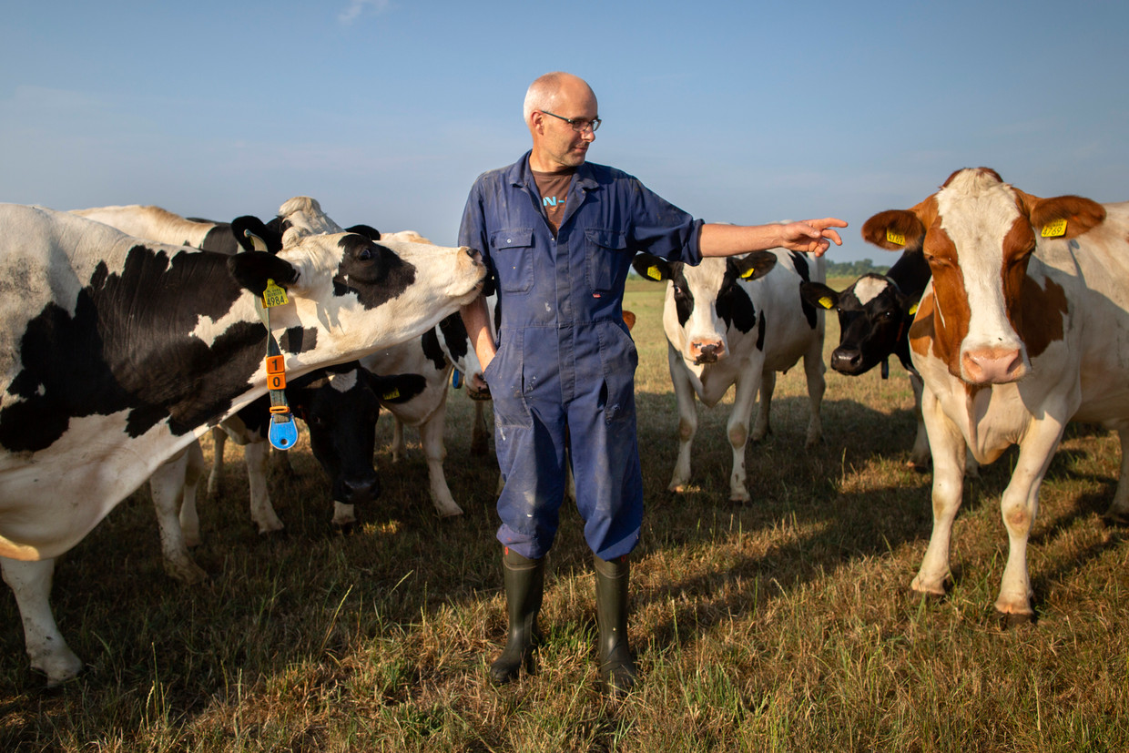 Klimaatdoelen? Deze boeren halen ze nu al | Trouw
