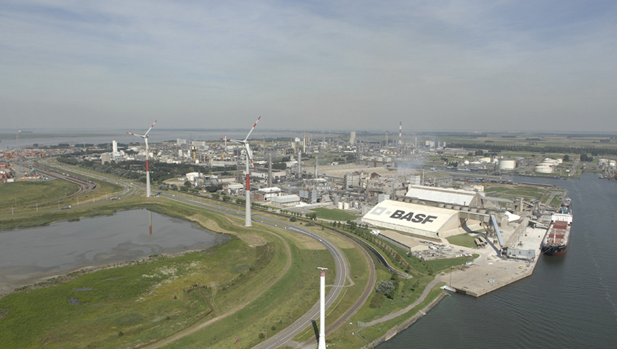 BASF wil nieuwe fabriek bouwen in Antwerpen | De Morgen